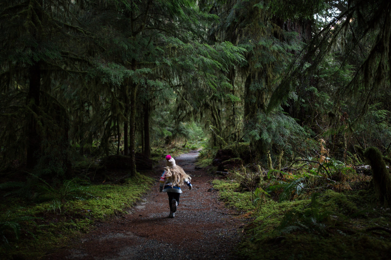 Staircase Loop Trail | Olympic National Forest WA | Olympa, WA